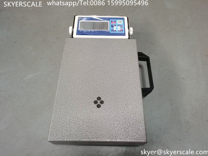 100kg Logistic Digital Weighing Scale High Accuracy Display Counting ...