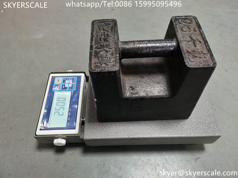 100kg Logistic Digital Weighing Scale High Accuracy Display Counting ...