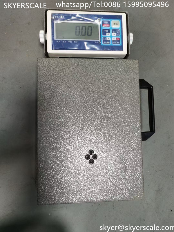 100kg Logistic Digital Weighing Scale High Accuracy Display Counting ...