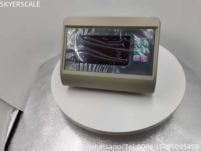 RS232 Weighing Indicator Display For Bench Scale Weighing Scale ...
